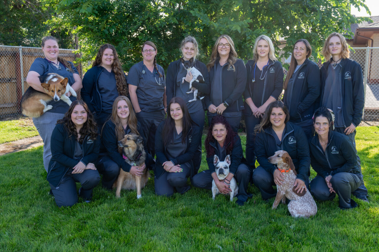 Best Veterinary Clinic In Brighton, CO | Bridge Street Veterinary Clinic