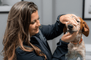 Best Veterinary Clinic In Brighton, CO | Bridge Street Veterinary Clinic